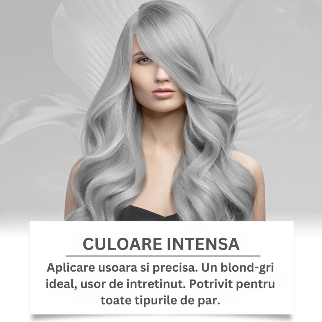 Vopsea de par Argintie – Magazinul 8